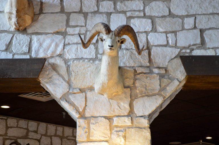 YO Ranch Hotel: Where to Stay in Kerrville